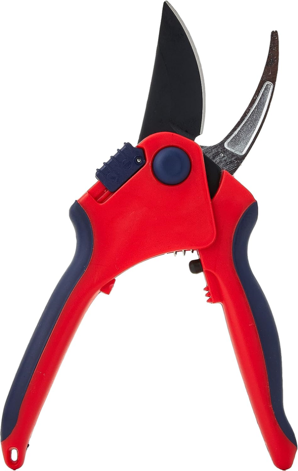 Spear & Jackson 6060BS Razorsharp Large Bypass Secateurs with Comfort ...